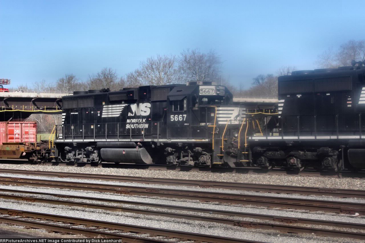 NS 5667